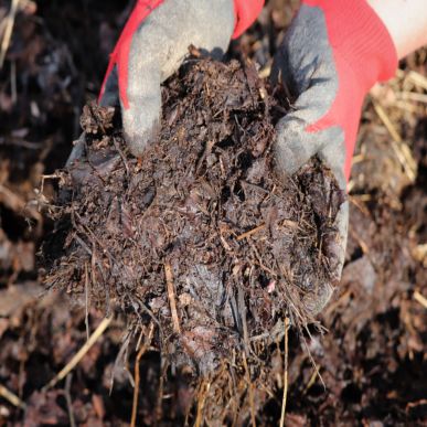 Obnova vyčerpanej pôdy - príbeh permakultúrnej záhrady - Prirodniny.sk